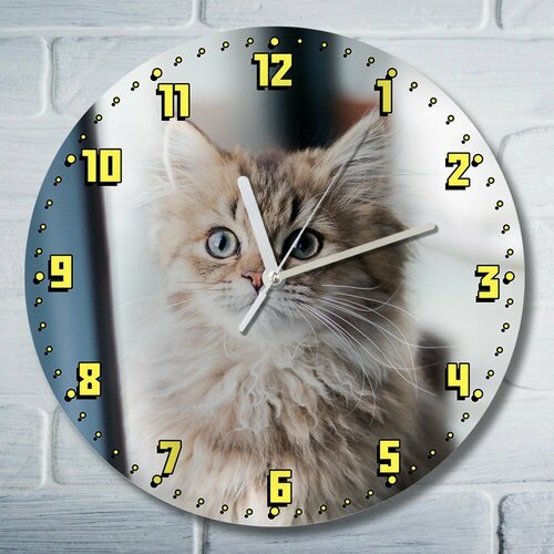 Настенные часы УФ "Животные рыжий кот ( Котенок, милота, Подарок для мамы, бабушки сестры, подруге) - 9162"