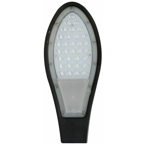 Apeyron Electrics светильник консольный светодиодный 14-14 светодиодный, 30 Вт, цвет арматуры: серый