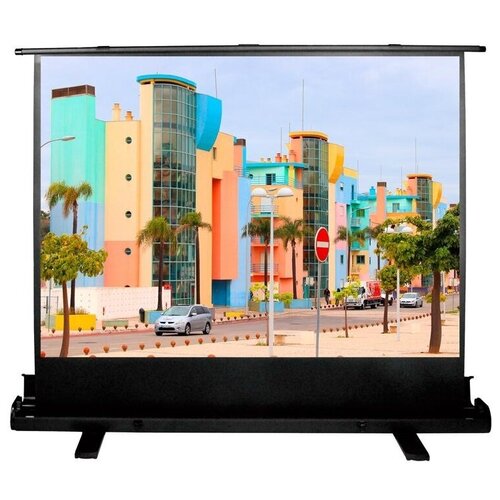 Экран на штативе Cactus FloorExpert 120x160см 4:3 (CS-PSFLE-160X120)