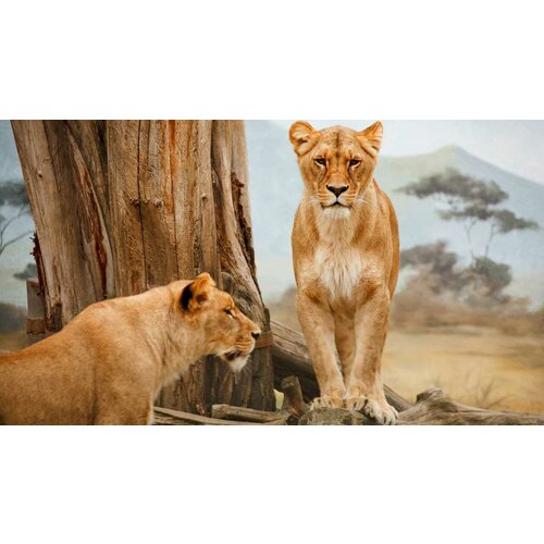 Картина на холсте 60x110 LinxOne "Львы большие кошки" интерьерная для дома / на стену / на кухню / с подрамником