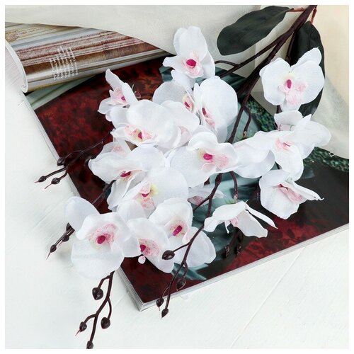 Цветы искусственные "Орхидея фаленопсис" 8х80 см, белый 4301698