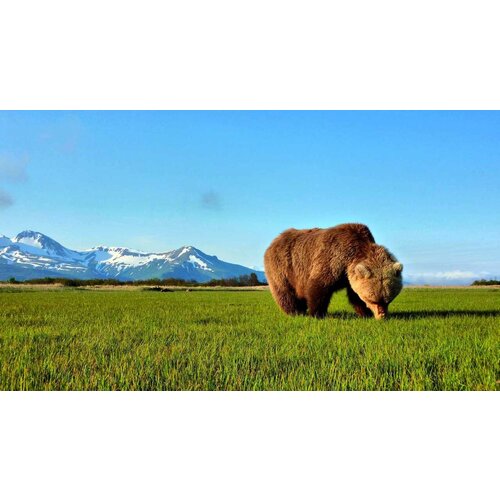 Картина на холсте 60x110 LinxOne "медведь горизонт трава небо" интерьерная для дома / на стену / на кухню / с подрамником