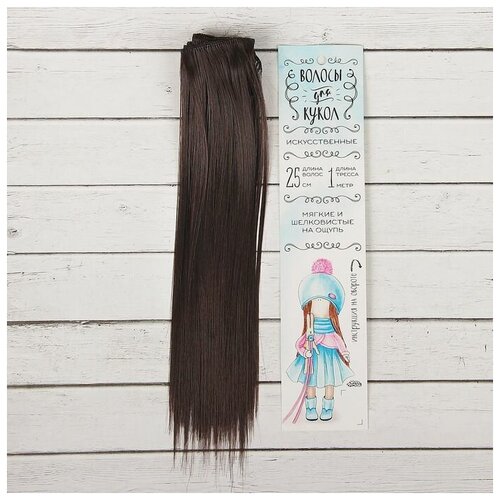 Волосы - тресс для кукол «Прямые» длина волос: 25 см, ширина: 100 см, цвет № 2