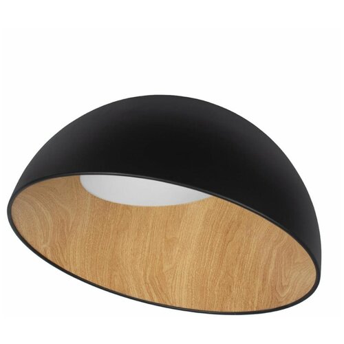 Потолочный светильник Loft IT Egg 10197/500 Black