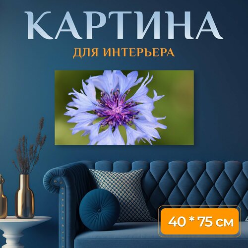Картина на холсте "Васильковый, васильки цветут, синий" на подрамнике 75х40 см. для интерьера