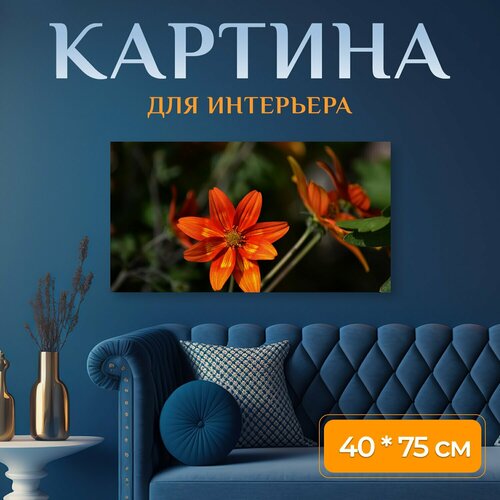Картина на холсте "Весна, цветы, оранжевый" на подрамнике 75х40 см. для интерьера