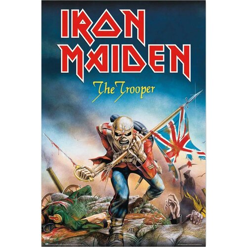 Плакат, постер Iron Maiden хеви-метал-группа. айрон мейден на холсте, размер 21х30см