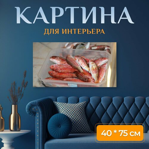 Картина на холсте "Барбусов, рыба, море" на подрамнике 75х40 см. для интерьера