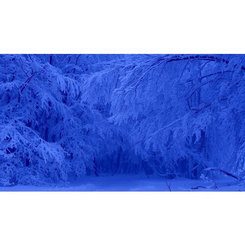 Картина на холсте 110x60 LinxOne "Зима снег лес деревья мороз" интерьерная для дома / на стену / на кухню / с подрамником
