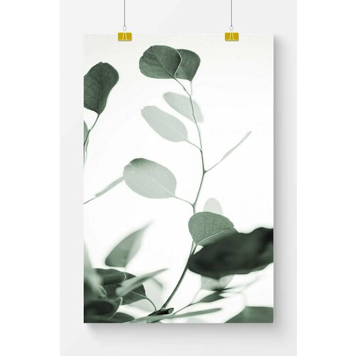 Постер для интерьера Postermarkt, 60х90 см в тубусе, постер Растение #45