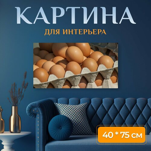 Картина на холсте "Рынок, куры, яйца" на подрамнике 75х40 см. для интерьера