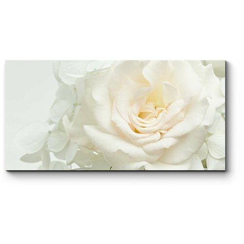 Модульная картина Белоснежная роза 160x80
