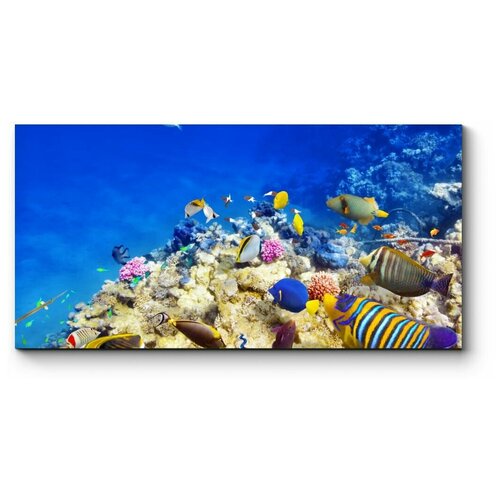Модульная картина Яркие краски подводного мира 90x45