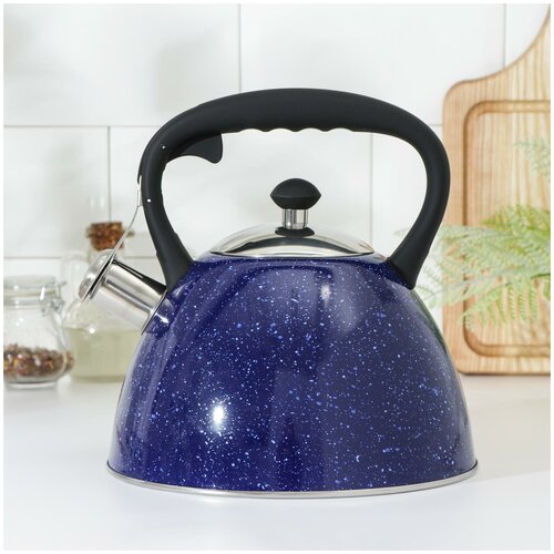 Чайник со свистком "Космос", 3 л, цвет синий (1 шт.)