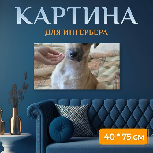 Картина на холсте "Щенок, дворняжка, собака" на подрамнике 75х40 см. для интерьера