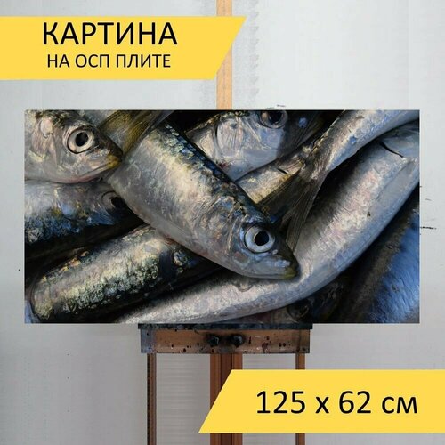 Картина на ОСП 125х62 см. "Сардины, рыбы, свежий" горизонтальная, для интерьера, с креплениями
