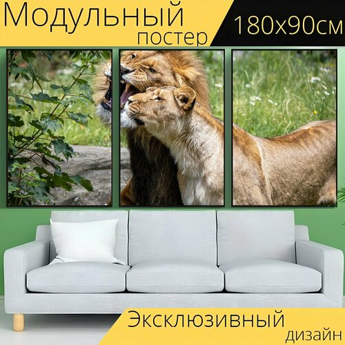Модульный постер "Лев, зоопарк, животное" 180 x 90 см. для интерьера