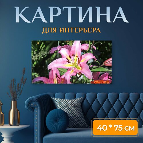 Картина на холсте "Лилии, розовый, цветок" на подрамнике 75х40 см. для интерьера