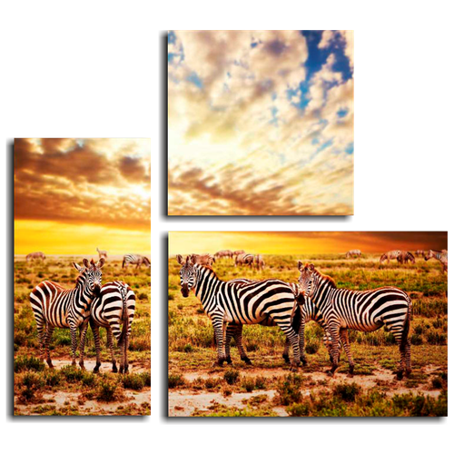 Модульная картина Африканские зебры 118х103 см