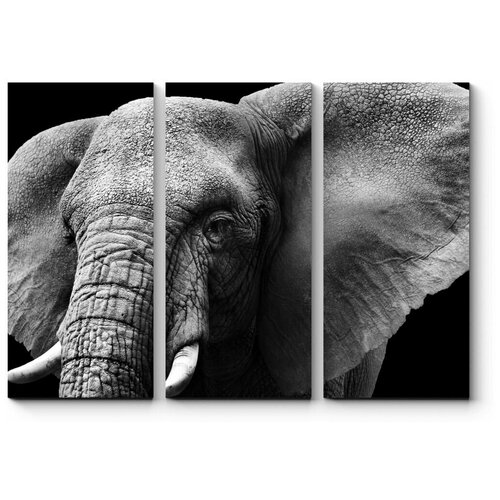 Модульная картина Портрет слона150x108