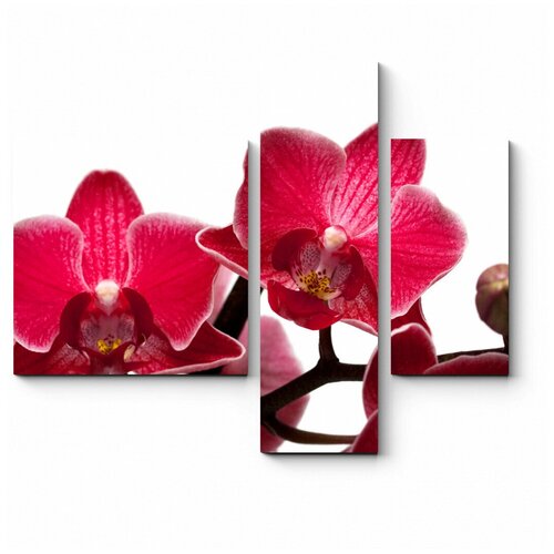 Модульная картина Магия орхидей 90x74