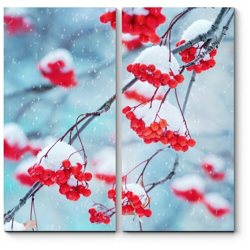 Модульная картина Первый снег укутывает спелые ягоды рябины 40x40