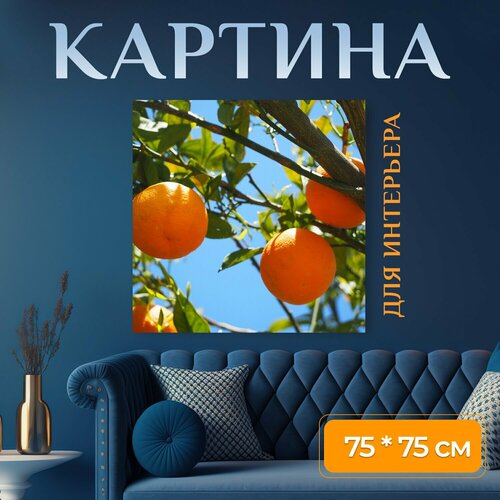 Картина на холсте "Апельсины, фрукты, апельсиновое дерево" на подрамнике 75х75 см. для интерьера