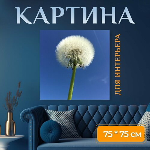Картина на холсте "Одуванчик, небеса, летом" на подрамнике 75х75 см. для интерьера