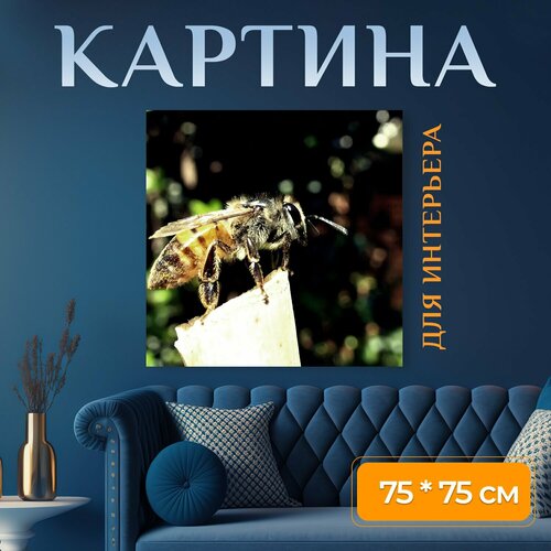 Картина на холсте "Пчела, медовый, сад" на подрамнике 75х75 см. для интерьера