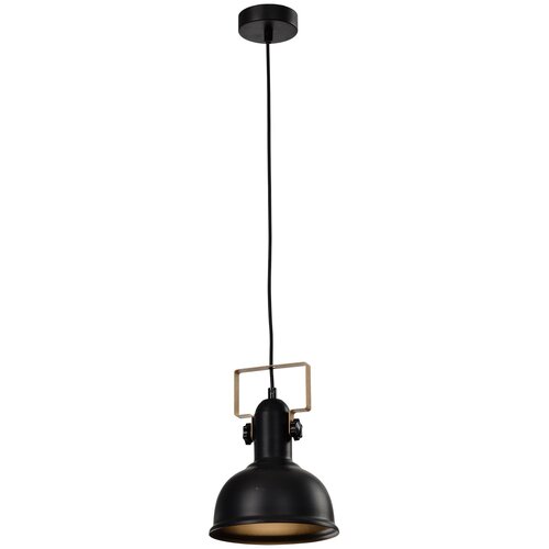 Потолочный светильник Rivoli Б0050323, E27, 40 Вт, кол-во ламп: 1 шт., цвет: черный
