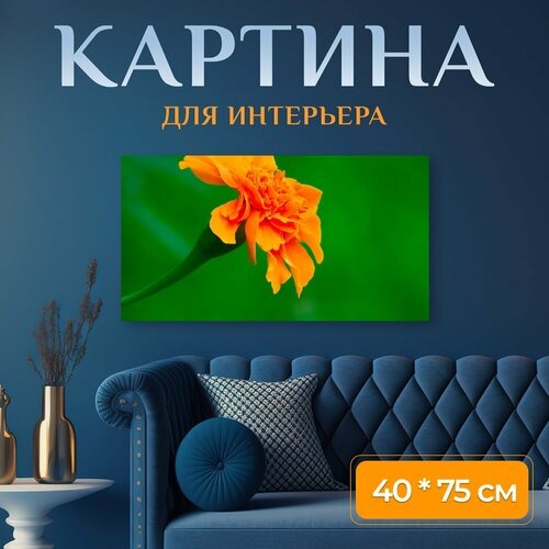 Картина на холсте "Цветы, желтый цветок, желтый" на подрамнике 75х40 см. для интерьера