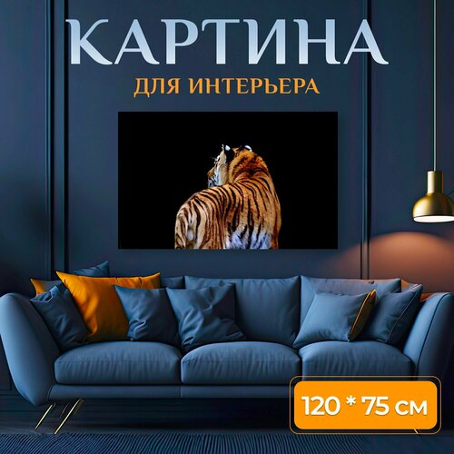 Картина на холсте "Тигр, хищник, шерсть" на подрамнике 120х75 см. для интерьера