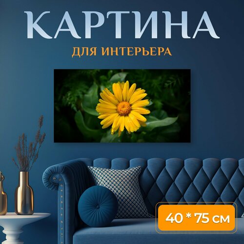 Картина на холсте "Накидка календулы, цветок, завод" на подрамнике 75х40 см. для интерьера