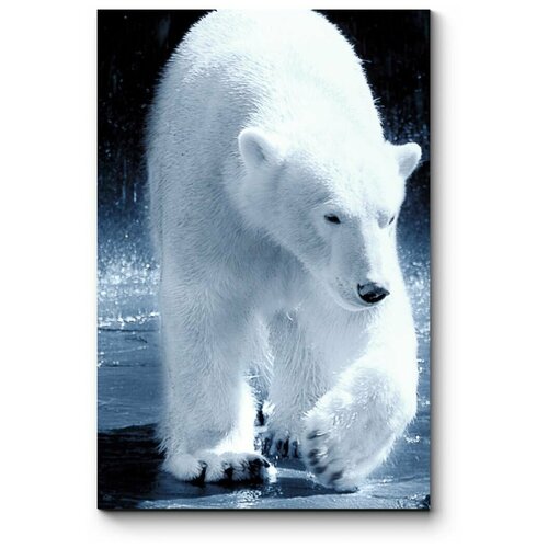 Модульная картина Белый полярный красавец 80x120