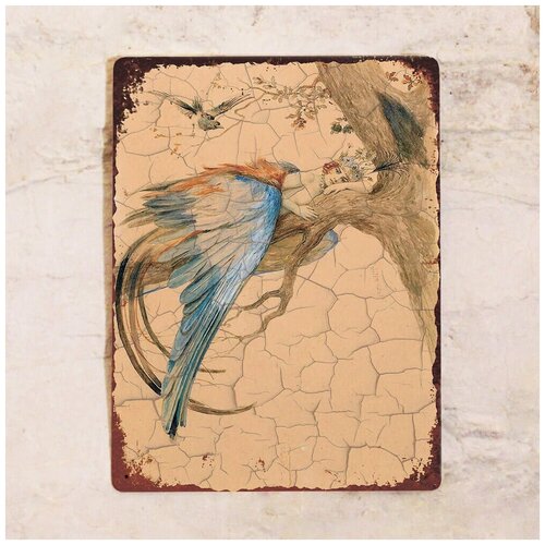 Жестяная табличка Девушка-птица, металл, 30Х40 см