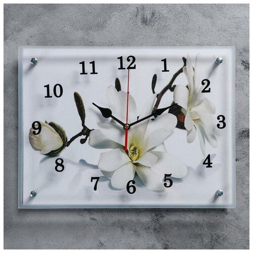 Часы настенные, серия: Цветы, "Орхидея", 30х40 см, микс