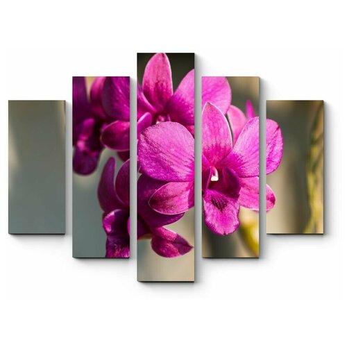 Модульная картина Королева цветов - прекрасная орхидея 105x84