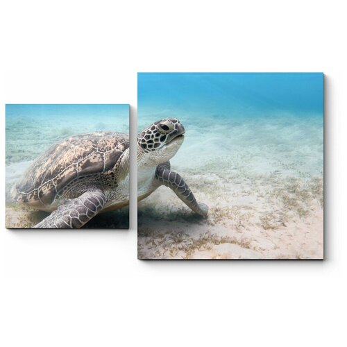 Модульная картина Чарующая подводная черепаха 80x48