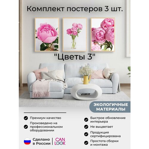 Постеры на стену 50х70, набор постеров "Цветы Пионы" 3 шт.
