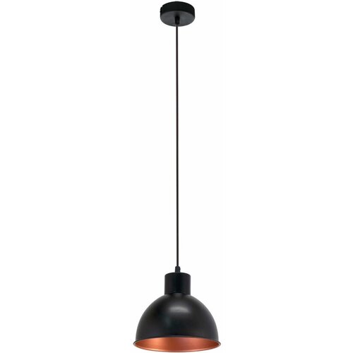 Потолочный светильник EGLO Truro 1 49238, E27, 60 Вт, кол-во ламп: 1 шт., цвет: черный