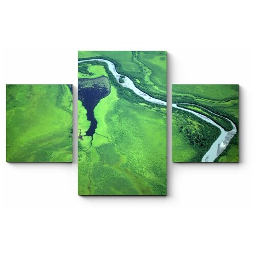 Модульная картина Зеленые поля и река с высоты птичьего полета160x104