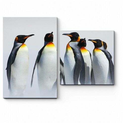 Модульная картина Королевские пингвины гуляют 40x30