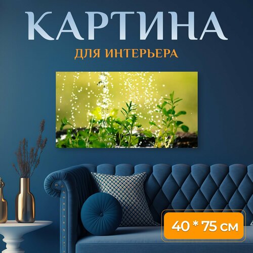 Картина на холсте "Капля воды, полив растений, вилка" на подрамнике 75х40 см. для интерьера