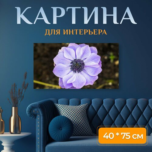 Картина на холсте "Цветок, красивая, синий" на подрамнике 75х40 см. для интерьера