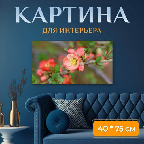 Картина на холсте "Японская айва, цветы, завод" на подрамнике 75х40 см. для интерьера
