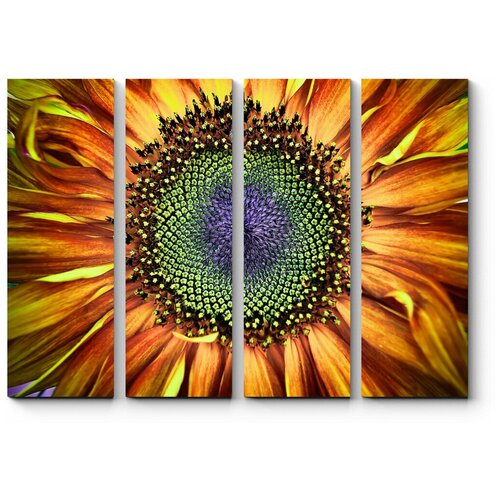 Модульная картина Внутри цветка солнца 120x90