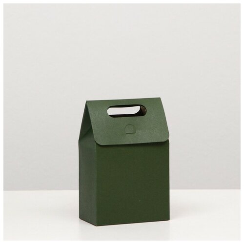 Коробка-пакет с ручкой, зеленая, 15 х 10 х 6 см(5 шт.)