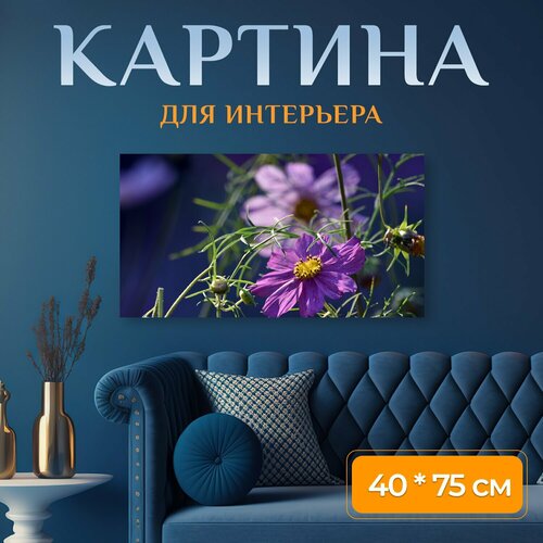 Картина на холсте "Цветы, фиолетовые цветы, природа" на подрамнике 75х40 см. для интерьера