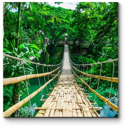 Модульная картина Бамбуковый пешеходный подвесной мост через реку в тропическом лесу 20x20
