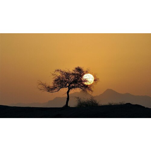 Картина на холсте 110x60 LinxOne "Дерево горы солнце силуэт" интерьерная для дома / на стену / на кухню / с подрамником